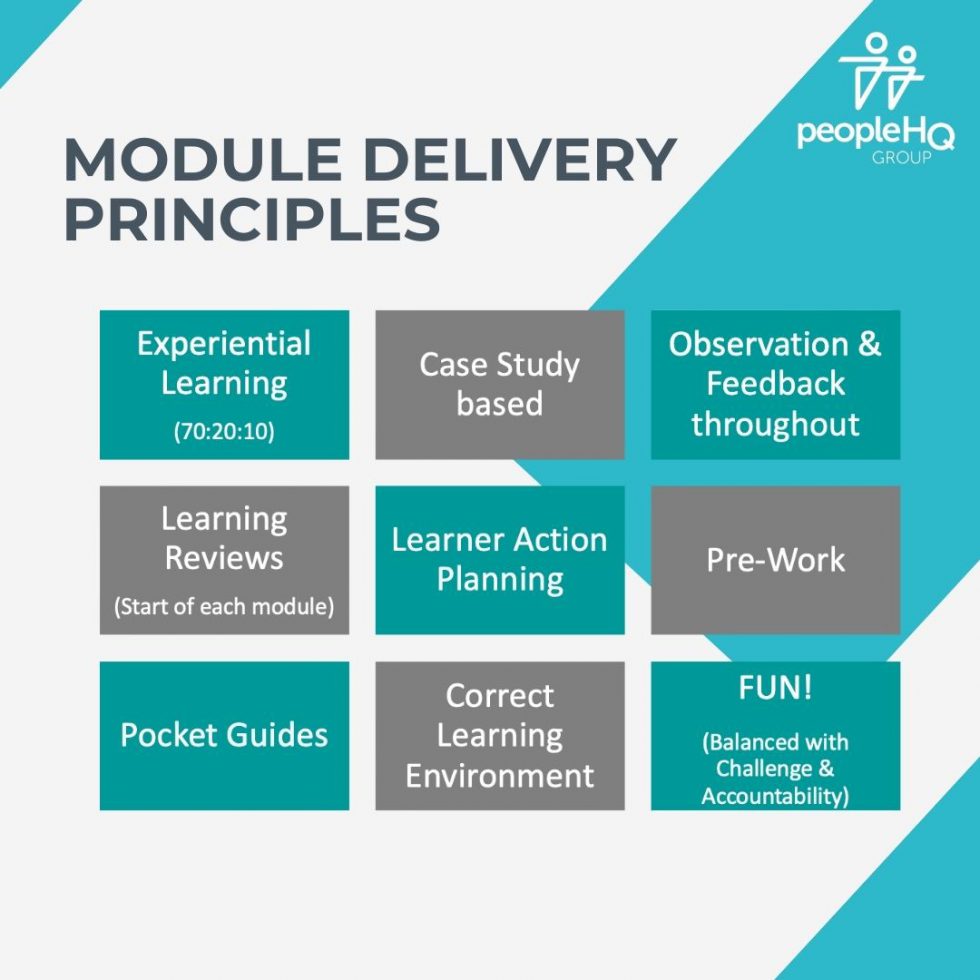 Building Team Capability: Build capability, build your team, build your ...